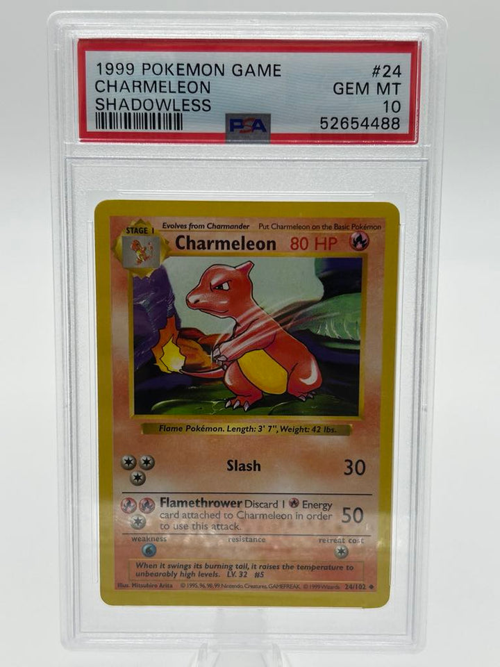 Pokémon Graded Cards – Sealed Collector